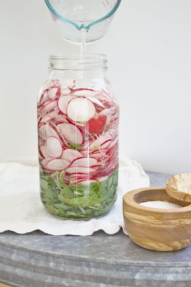 Fermented Pink Radishes with their Greens | The Frayed Apron