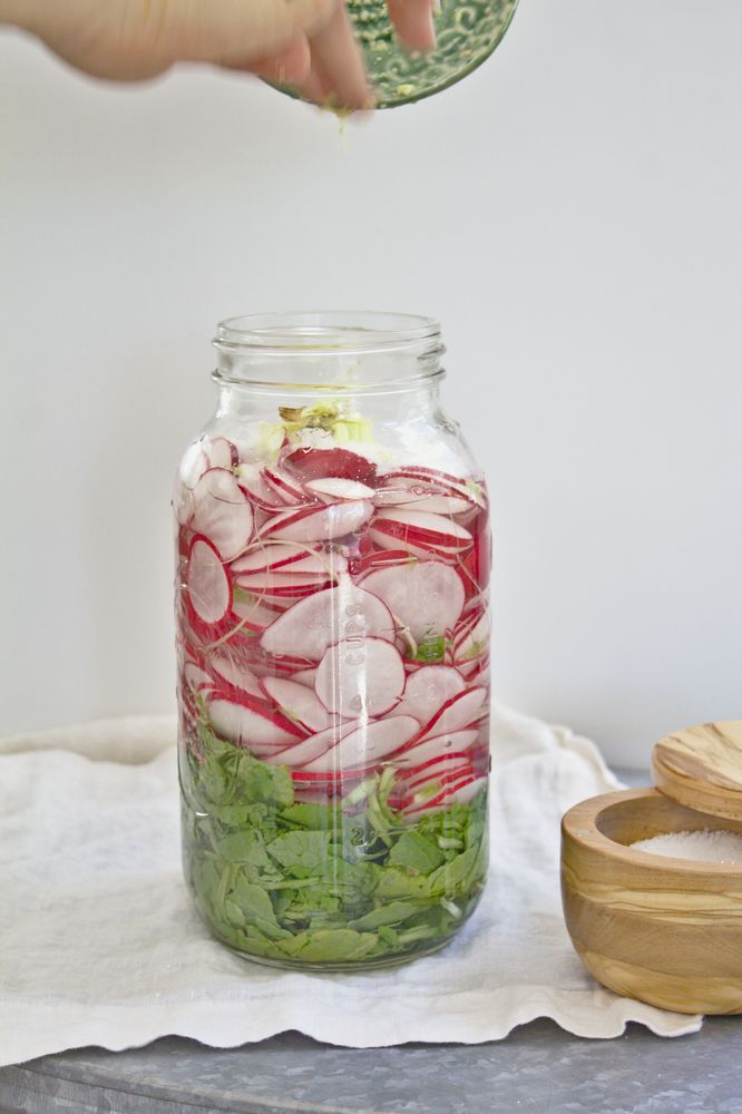 Fermented Pink Radishes with their Greens | The Frayed Apron