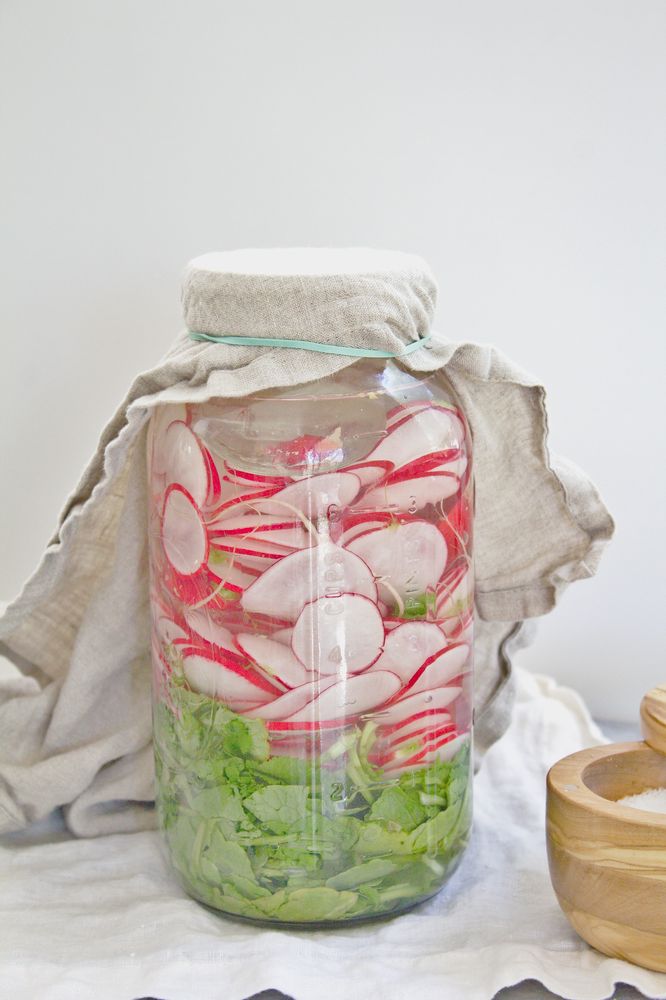 Fermented Pink Radishes with their Greens | The Frayed Apron