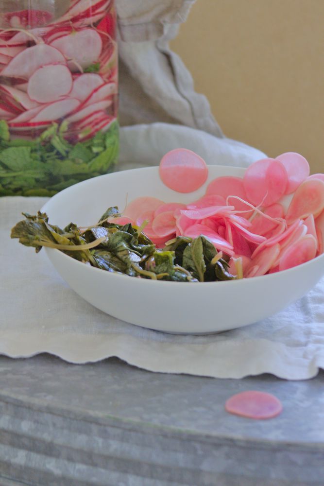 Fermented Pink Radishes with their Greens | The Frayed Apron