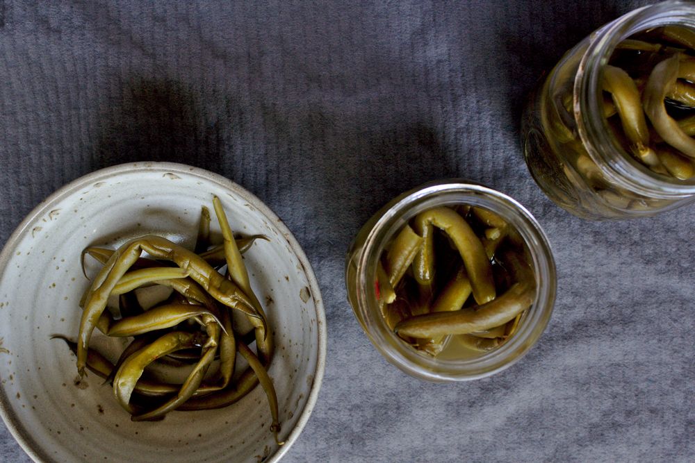 Easy Fermented Dilly Beans | The Frayed Apron