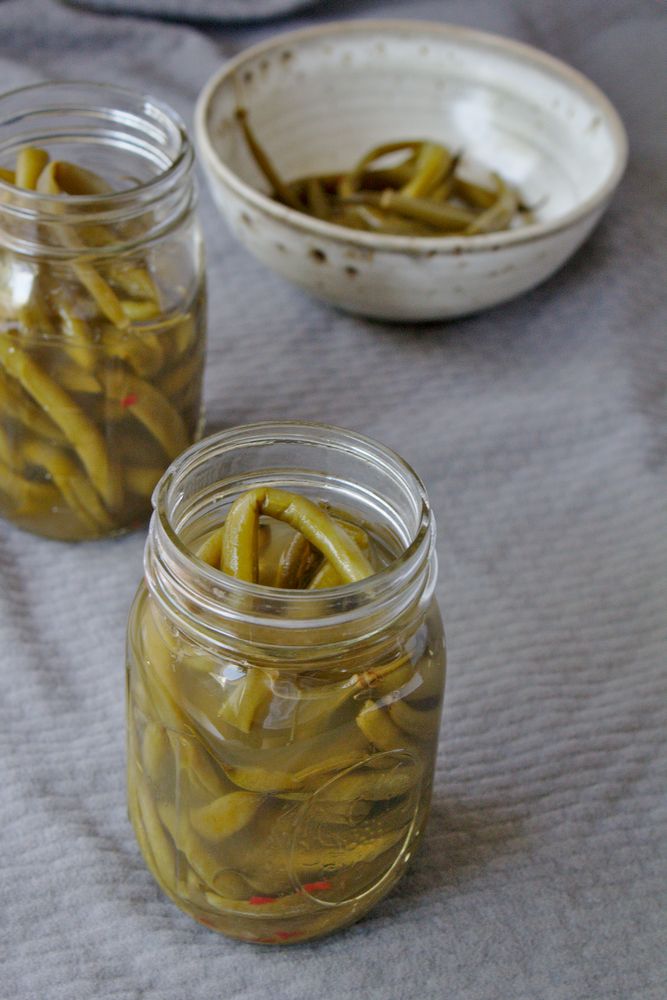 Easy Fermented Dilly Beans | The Frayed Apron
