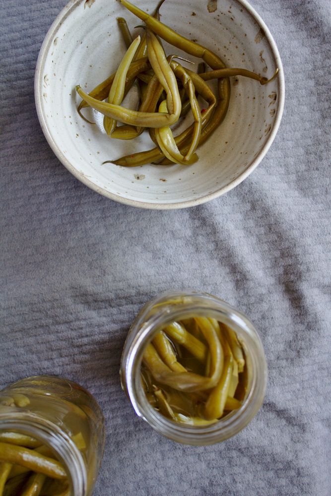Easy Fermented Dilly Beans | The Frayed Apron
